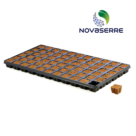 Plateau de semis Eazy plug (77 unités) | novaserre.com